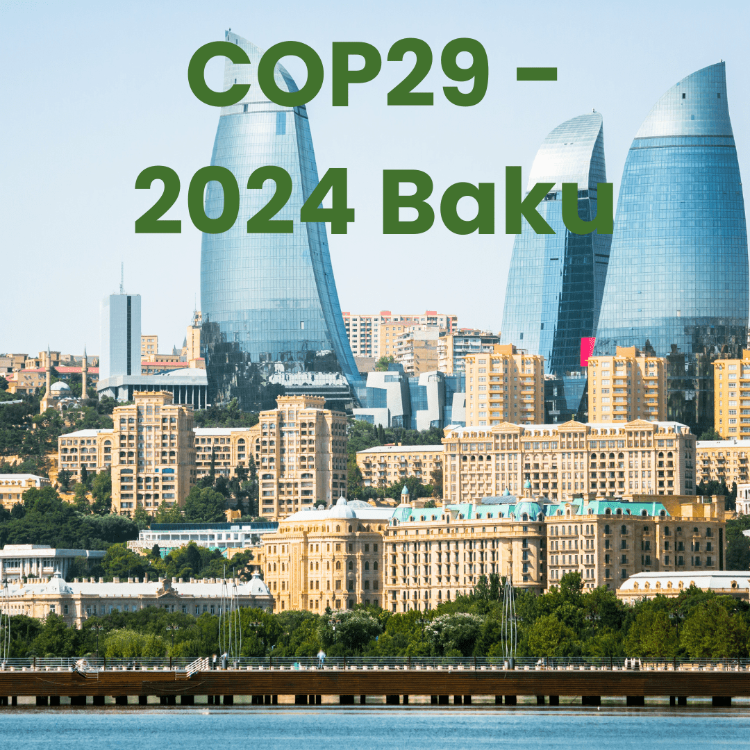 Key Focus Areas of COP29 in Baku