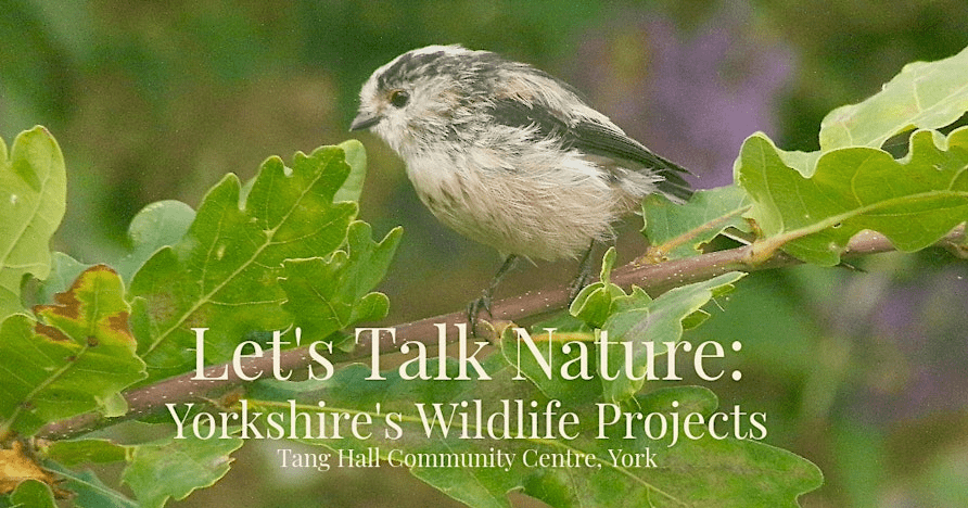 Let's Talk Nature: Yorkshire's Wildlife Projects | SBS